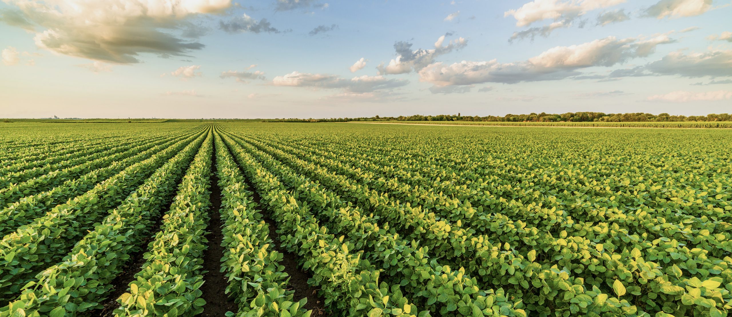 Simplot Tasmania | Food Factory Flooring | Roxset Australia